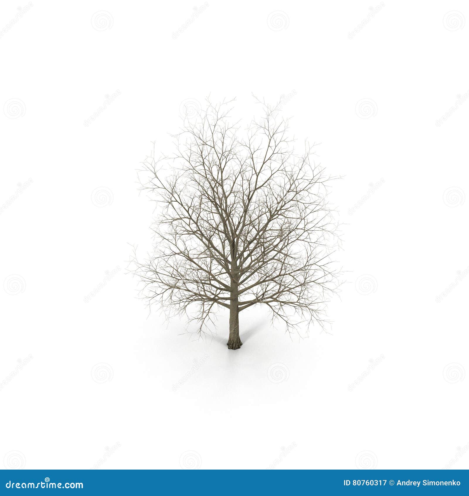Winter Maple Tree Isolated on White. 3D Illustration Stock Illustration ...