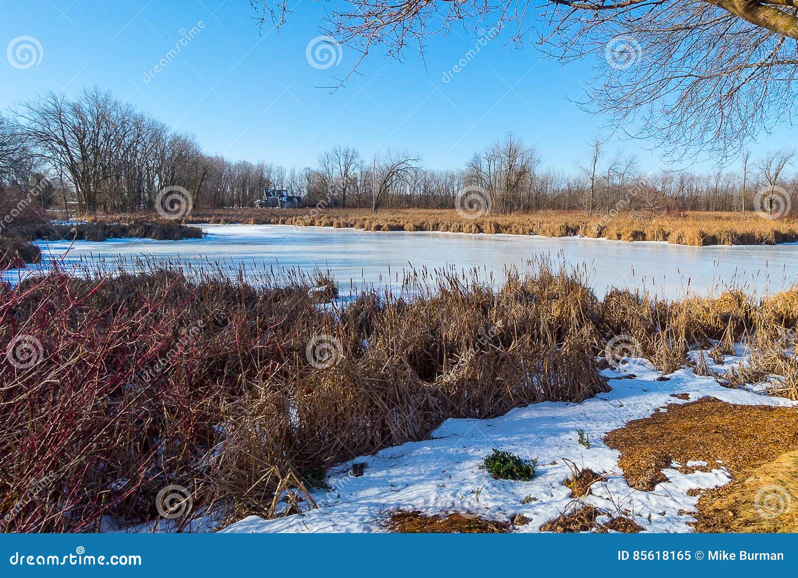 Winter Marsh stock image. Image of season, white, landscape - 85618165