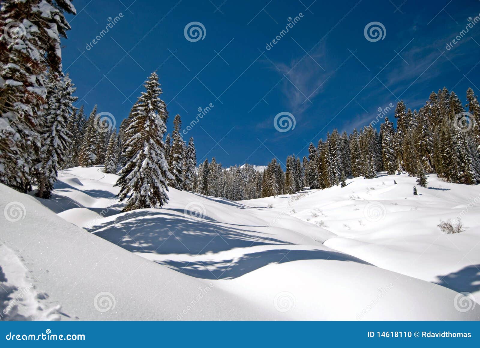 Winter Meadow stock photo. Image of calm, cross, beautiful - 14618110