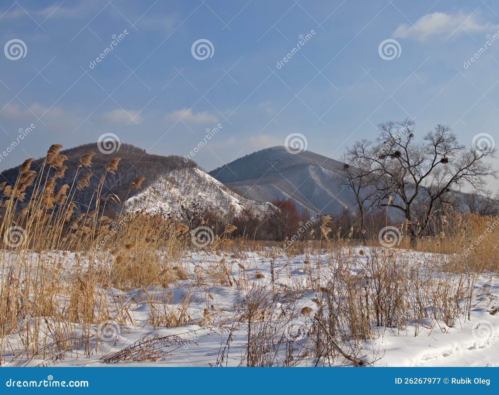 Winter Meadow at a Hill Slope Stock Image - Image of noluby, cloud ...