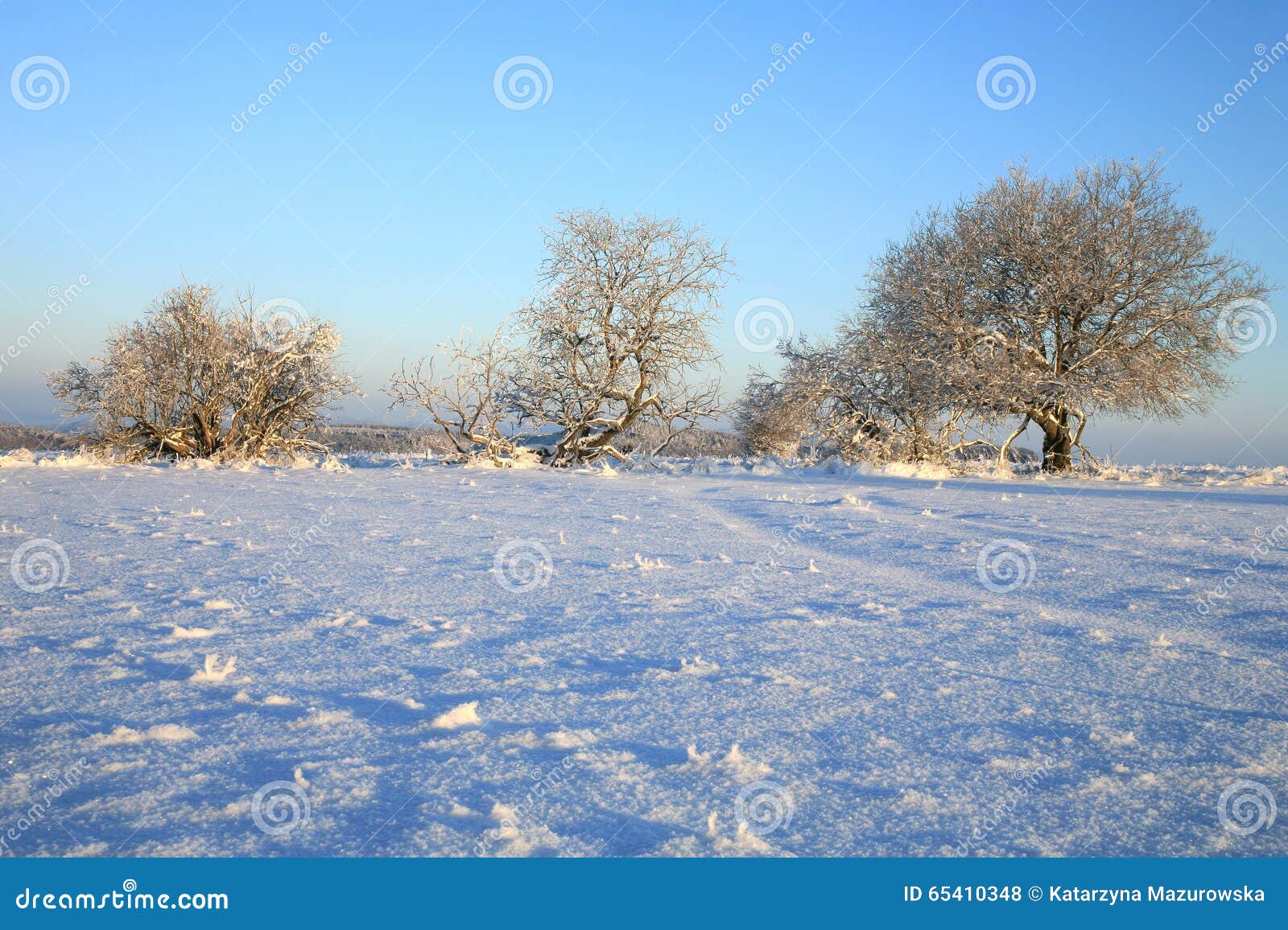 Winter meadow stock photo. Image of cover, january, famous - 65410348