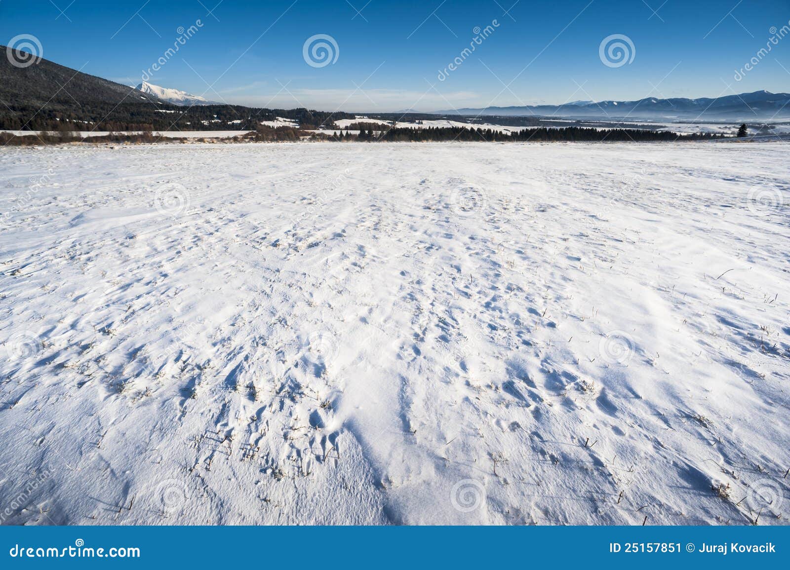 Winter meadows stock image. Image of liptov, forest, meadows - 25157851