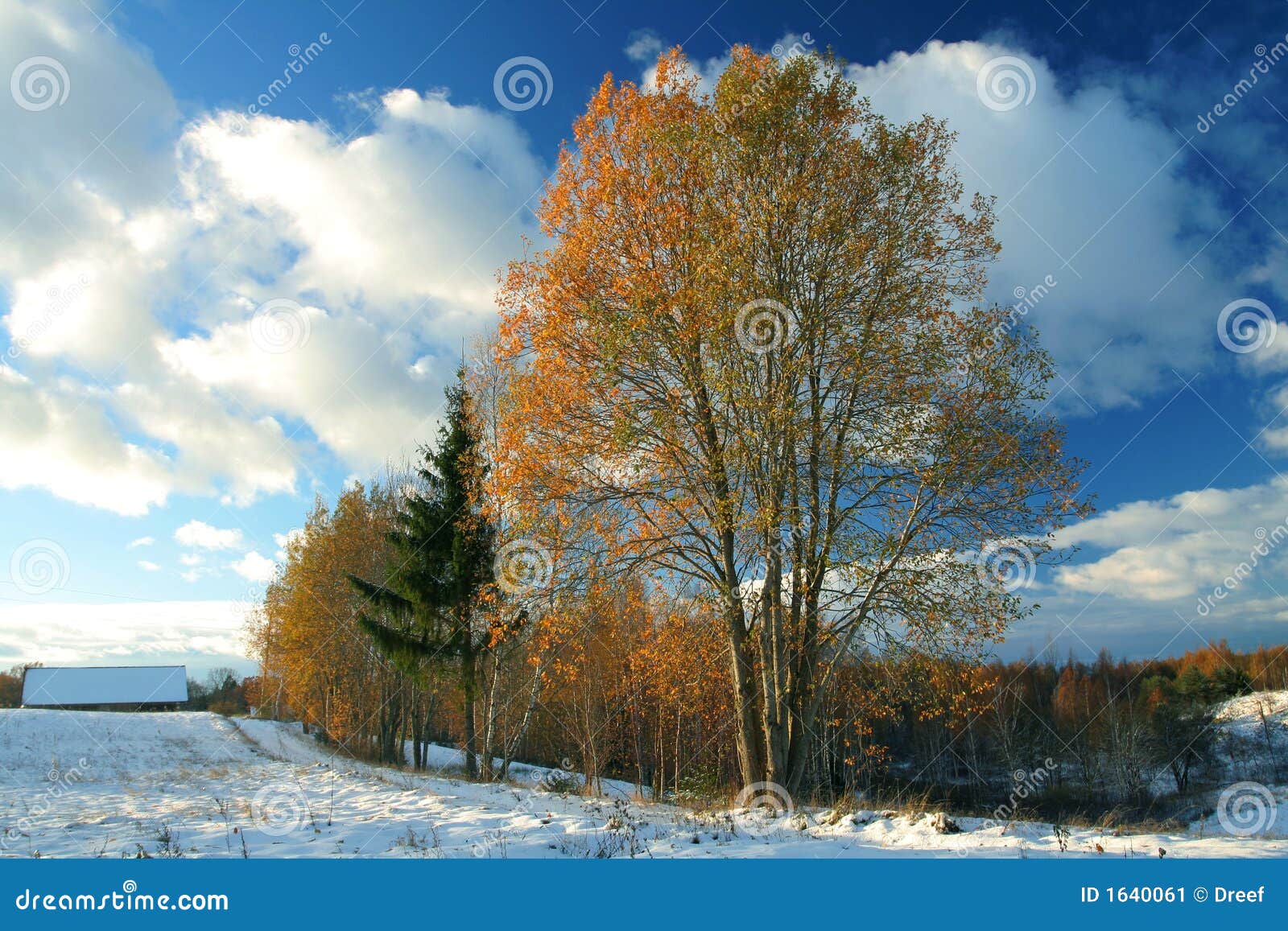 Winter meet autumn stock image. Image of rural, clouds - 1640061
