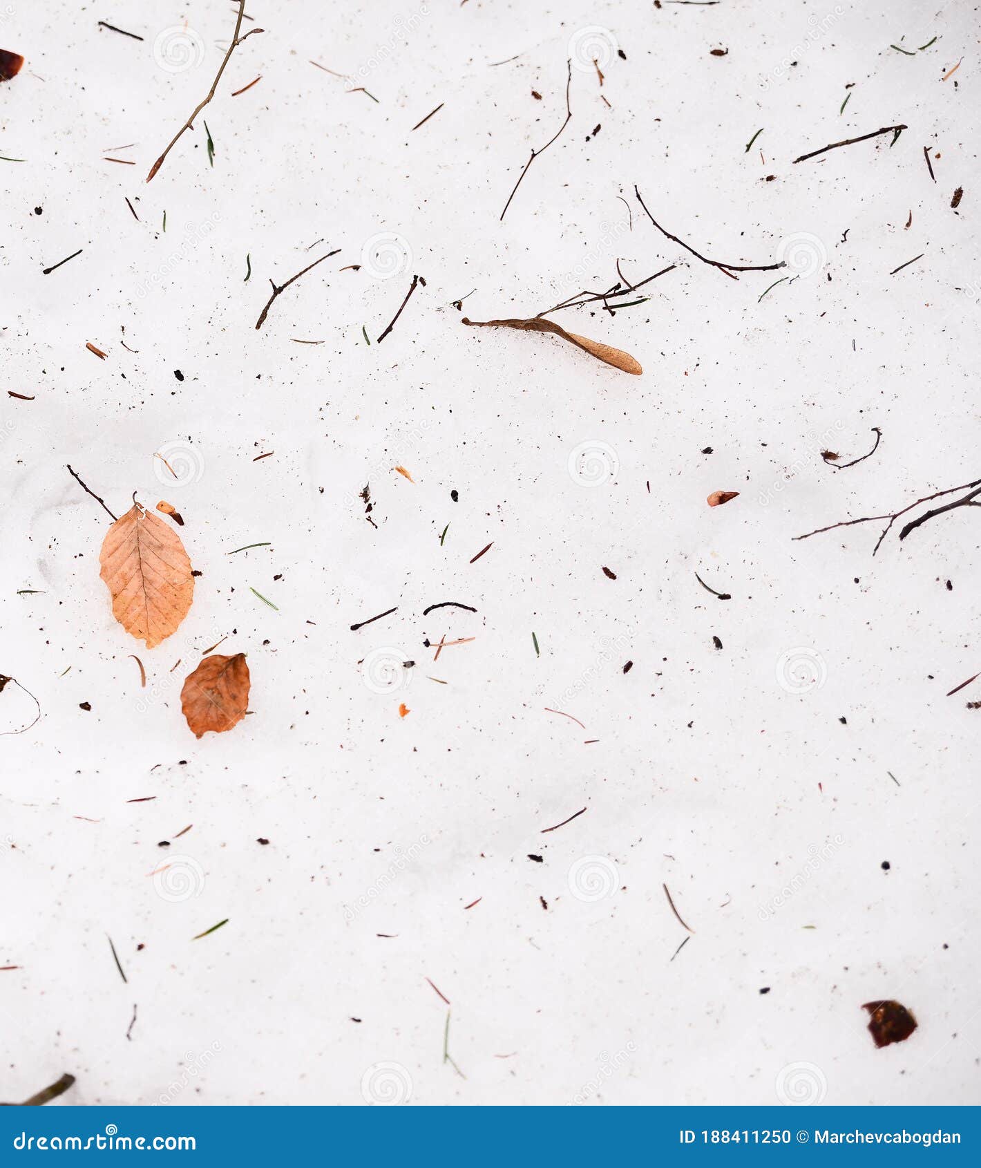 Winter melancholy stock photo. Image of cold, november - 188411250