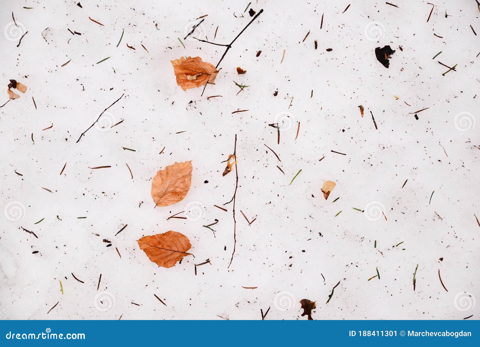 Winter melancholy stock image. Image of weather, frosty - 188411301