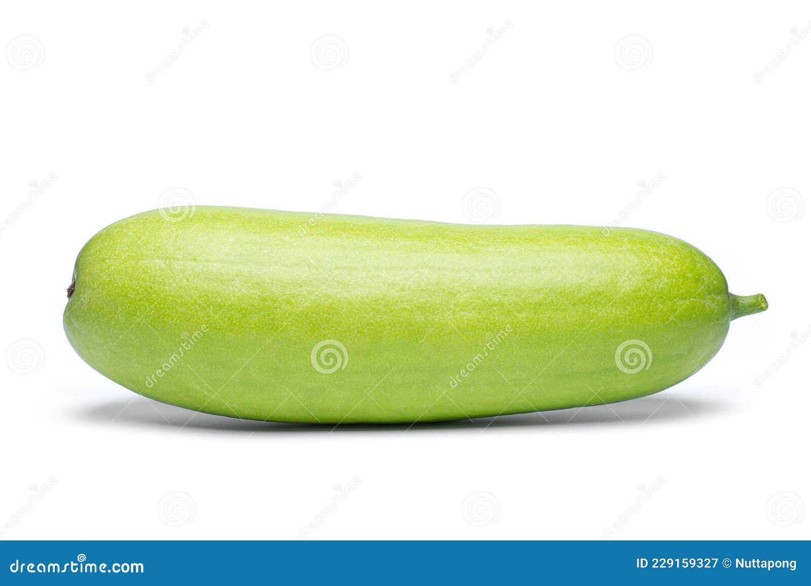 Winter Melon, White Gourd, Winter Gourd, Ash Gourd, Tallow Gourd, Ash ...
