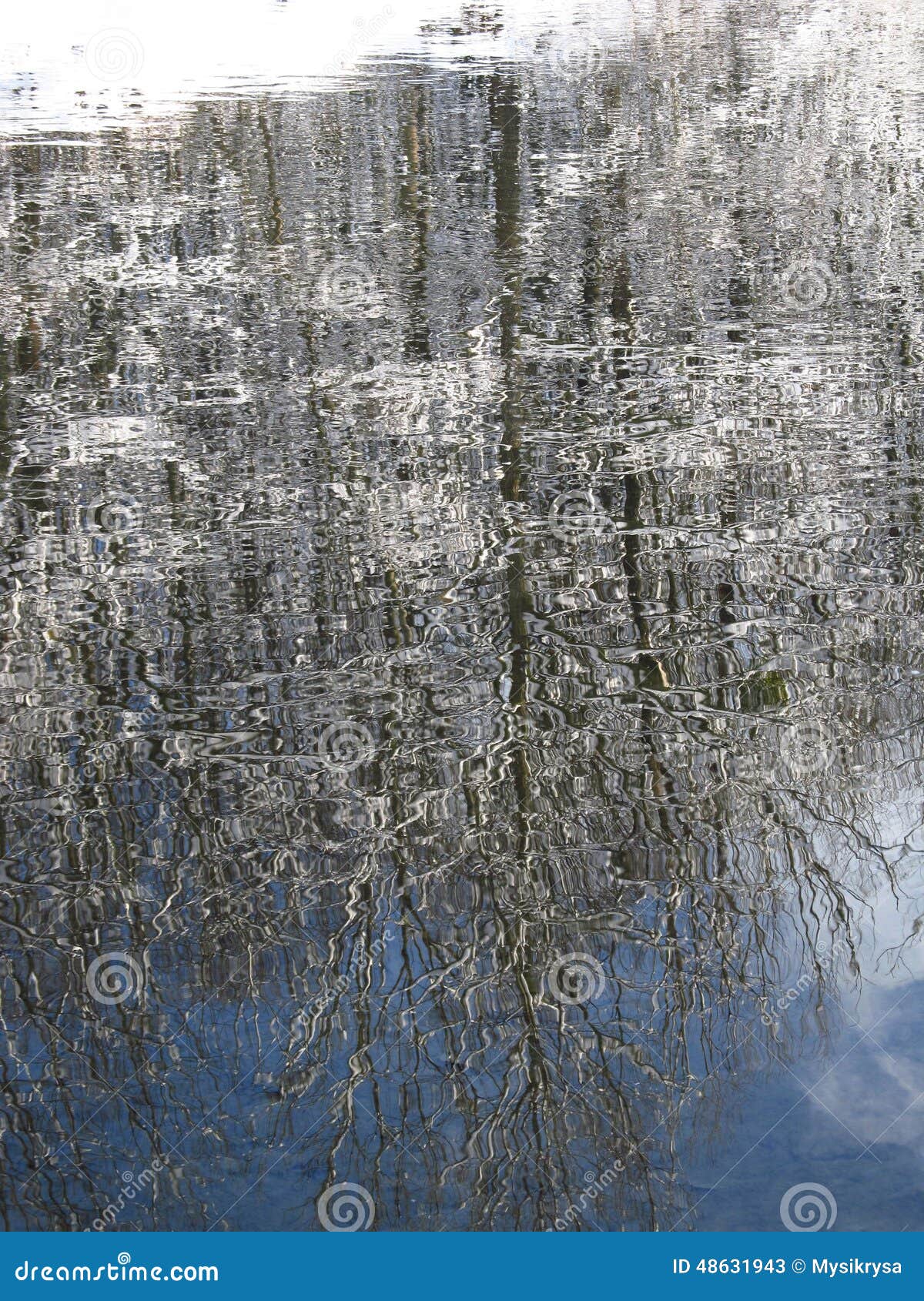 Winter mirror stock image. Image of river, water, forests - 48631943