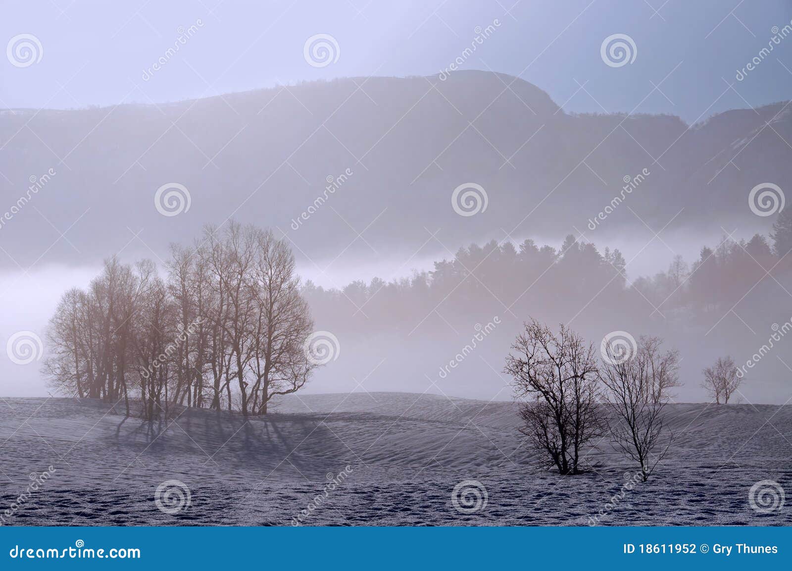 Winter mist stock photo. Image of mist, early, hills - 18611952