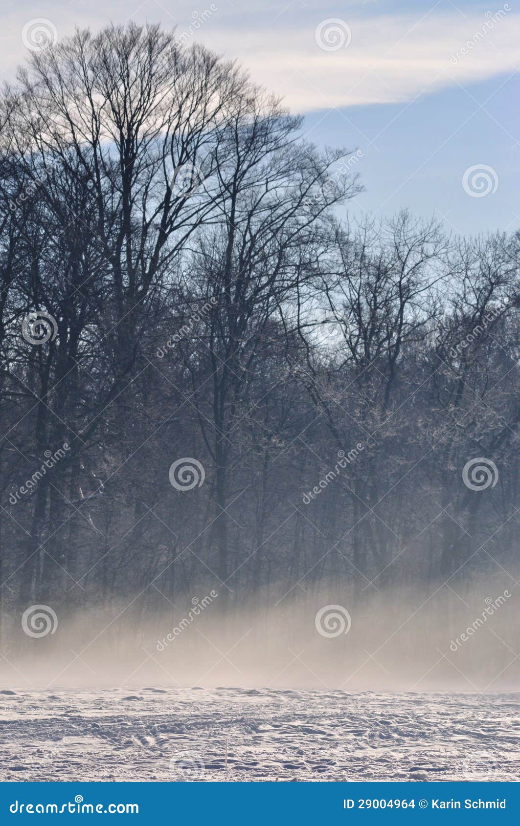 Winter with mist stock photo. Image of freezing, covering - 29004964