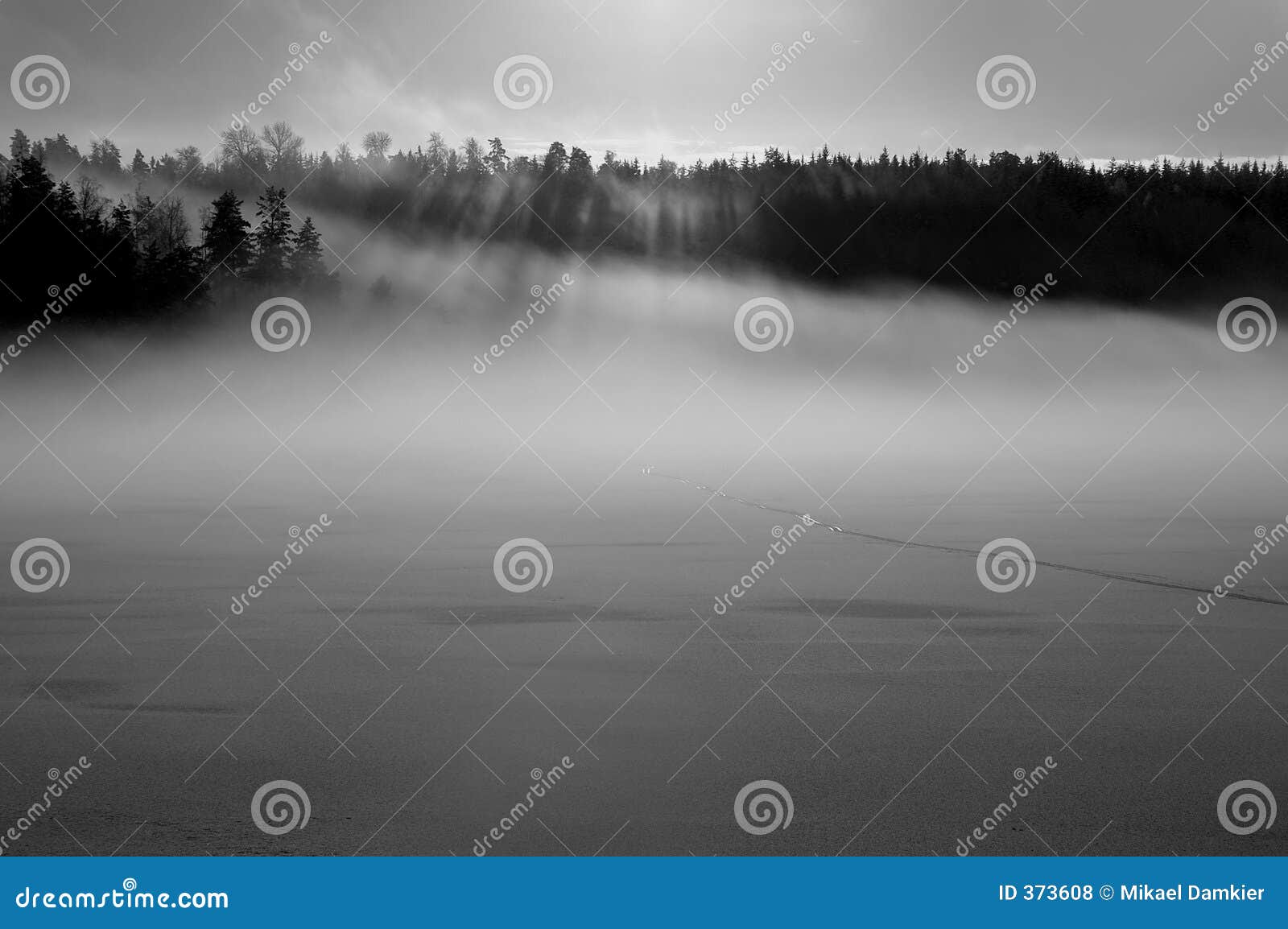 Winter mist stock photo. Image of snow, landscape, cold - 373608
