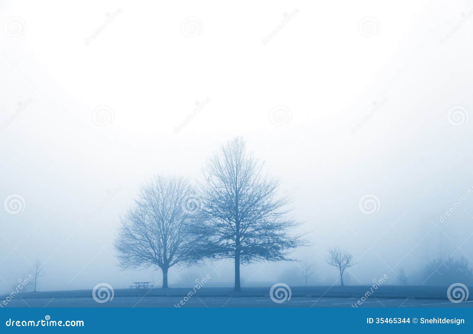 Winter mist stock photo. Image of frost, background, season - 35465344