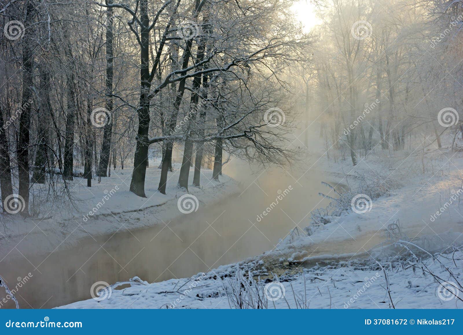 Winter stock photo. Image of bare, lake, season, delta - 37081672