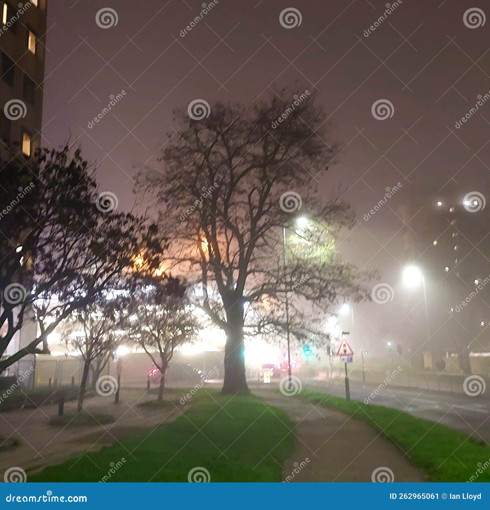 Winter Mist and Trees and City Street Lights Stock Image - Image of ...