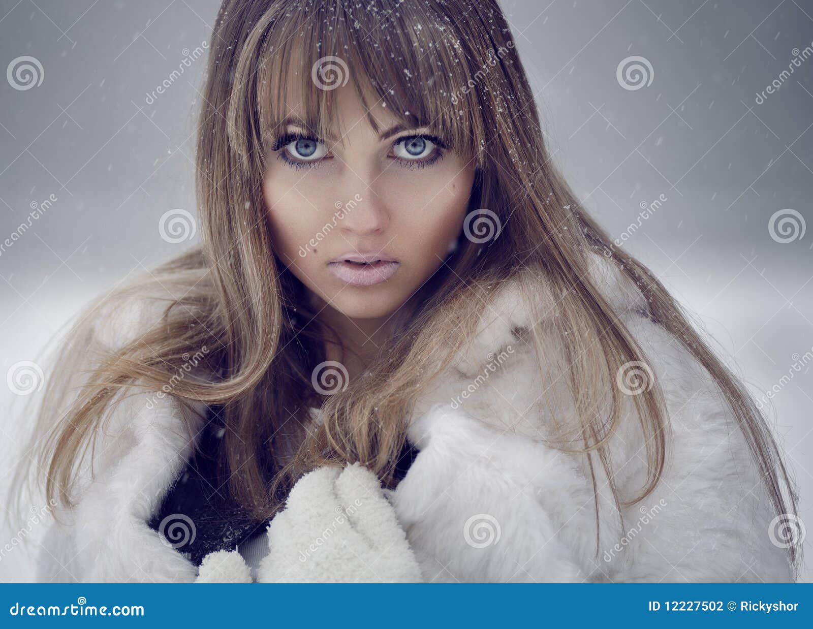 Winter model portrait stock photo. Image of cold, holiday - 12227502