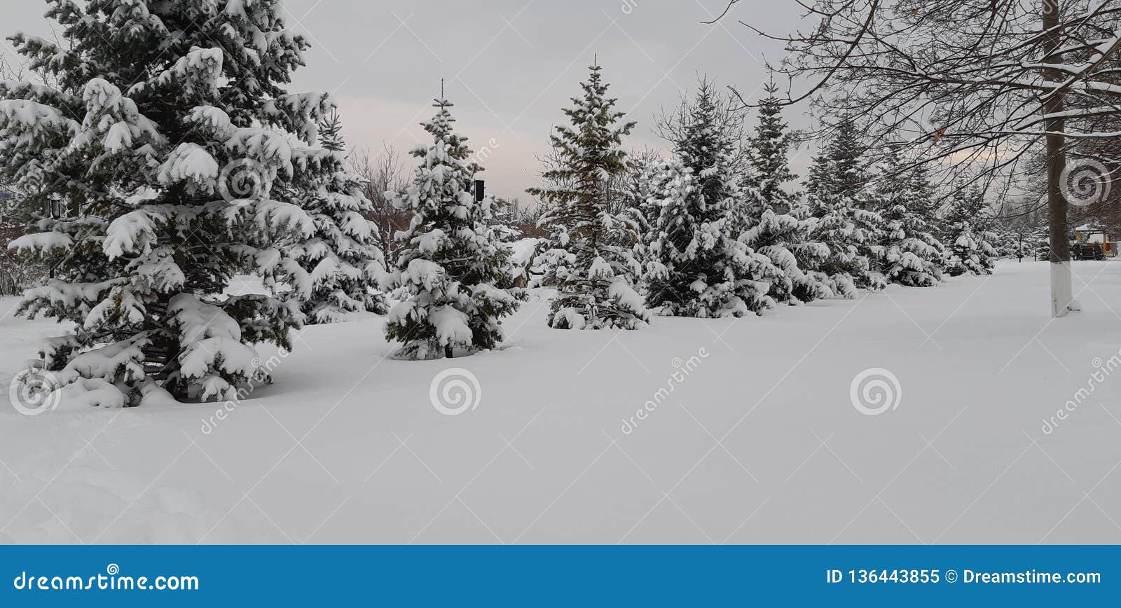Winter in Moldova stock image. Image of snow, moldova - 136443855