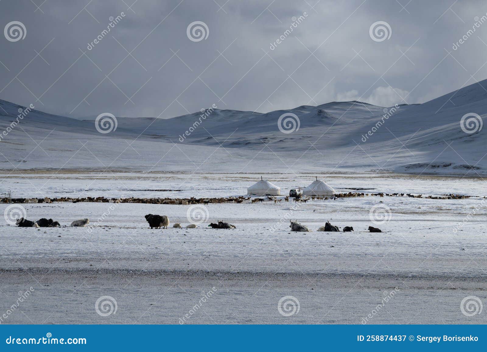 Mongolia in winter stock image. Image of traditional - 258874437