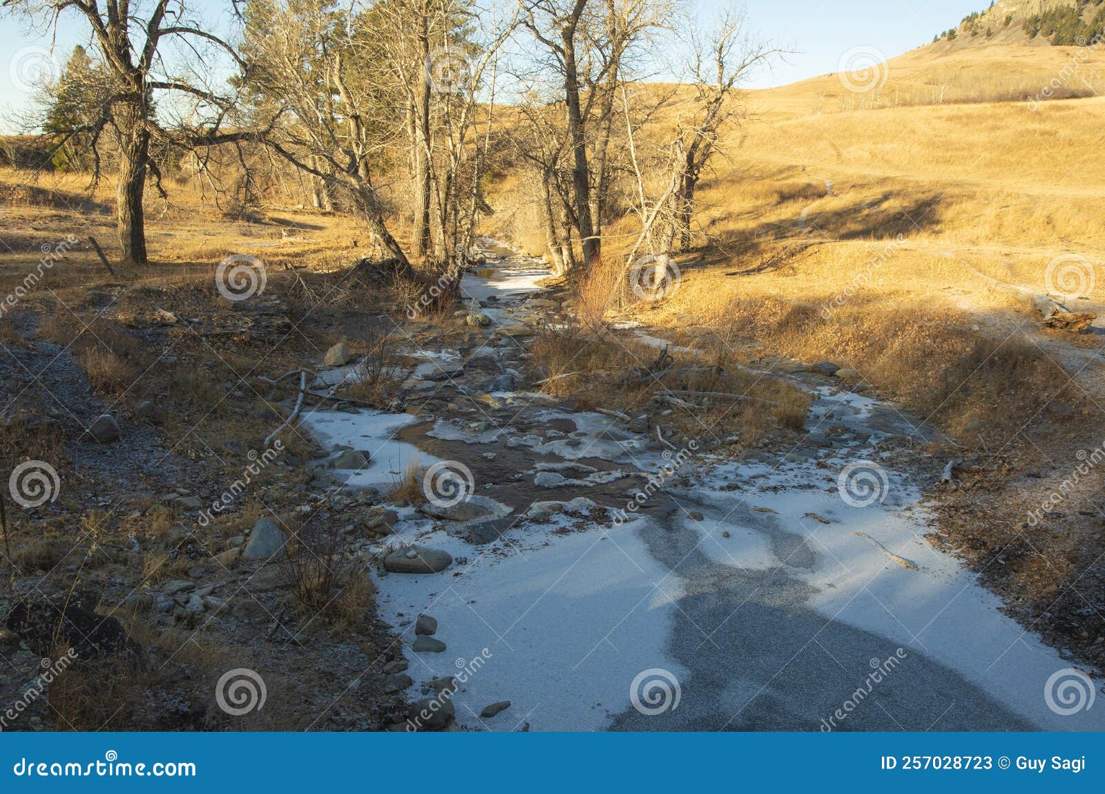 Winter Montana Stream with Ice and Dusting of Snow Stock Image - Image ...