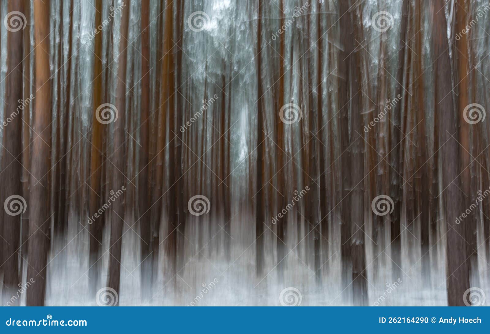 Winter Mood in the Coniferous Forest in Motion Blur Stock Photo - Image ...