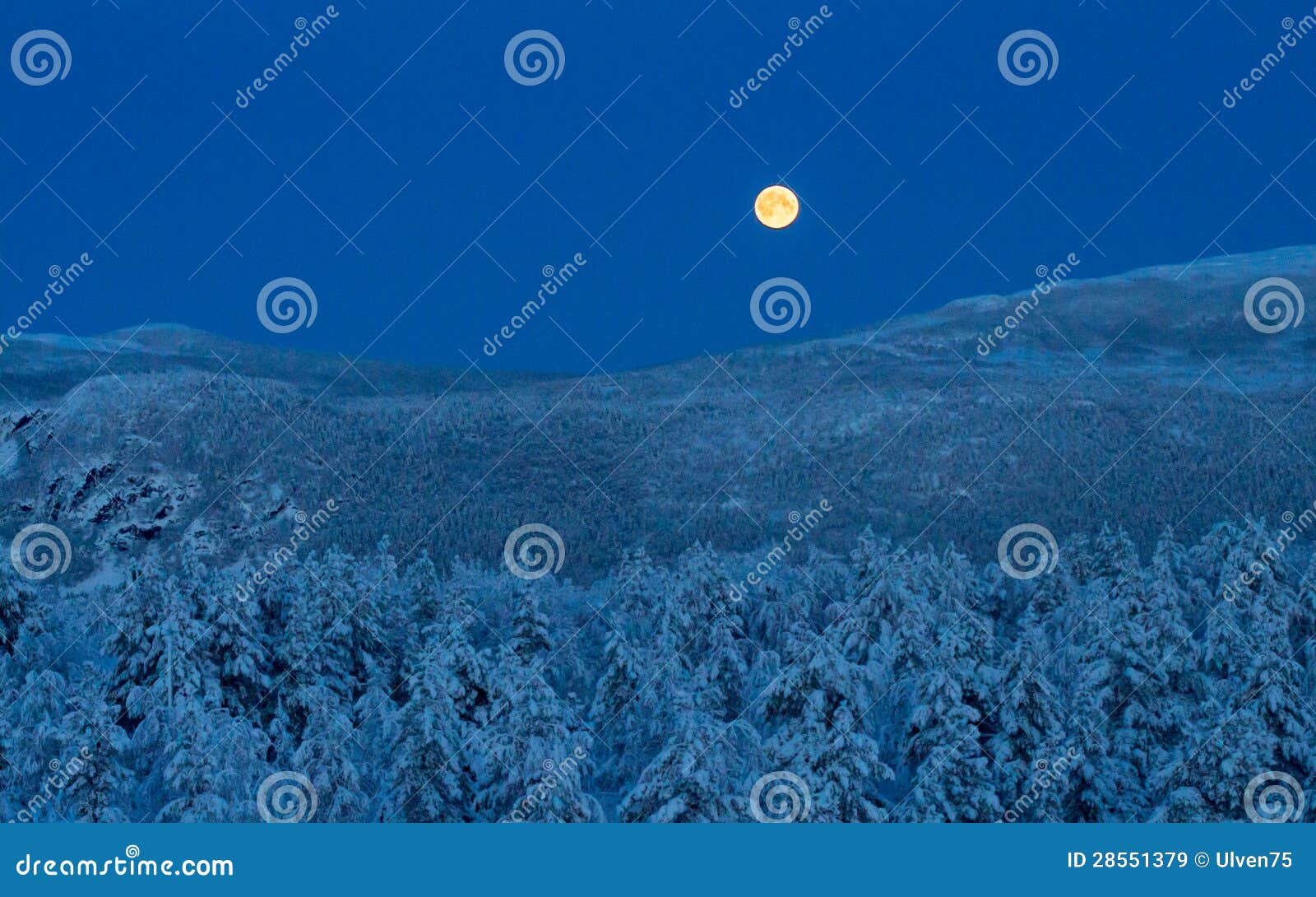 Winter moon stock image. Image of moonlight, fullmoon - 28551379