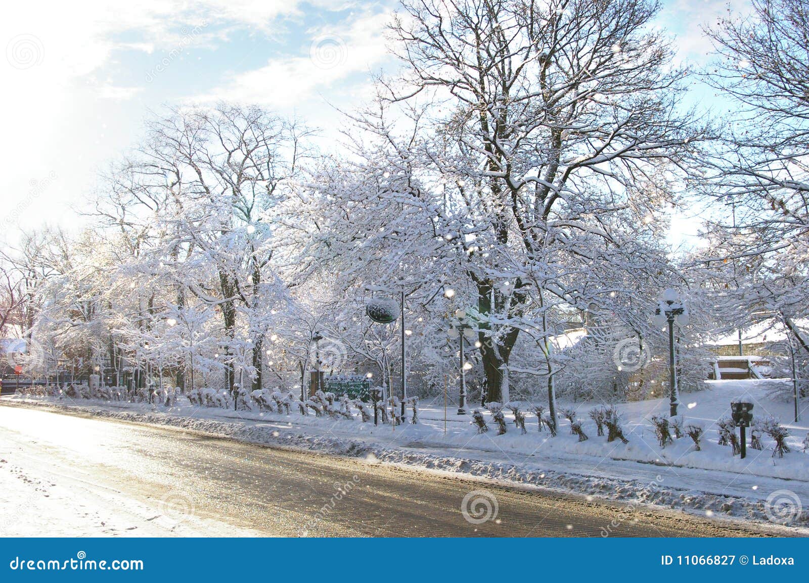 Winter morning stock image. Image of historic, snow, canada - 11066827