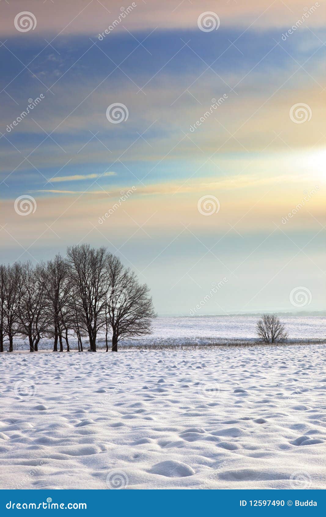 Winter morning stock photo. Image of snow, scene, environment - 12597490