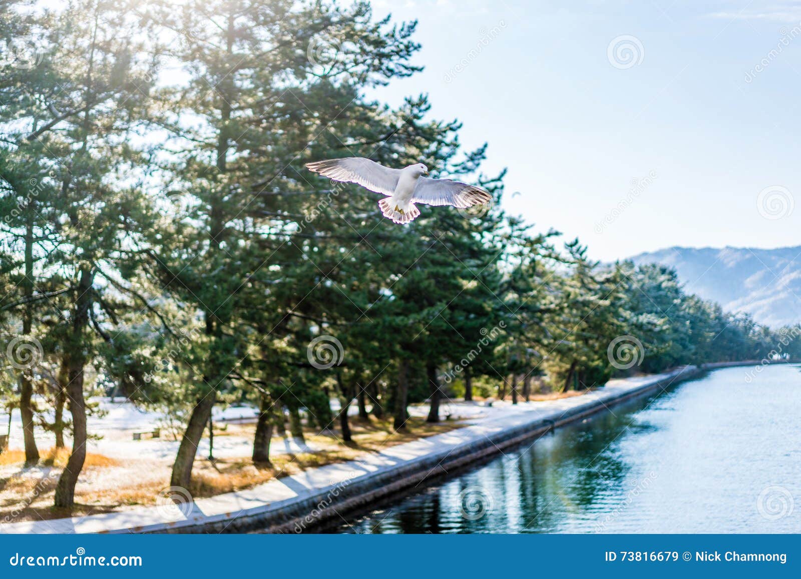 Winter Morning in Amanohashidate Stock Image - Image of amanohashidate ...