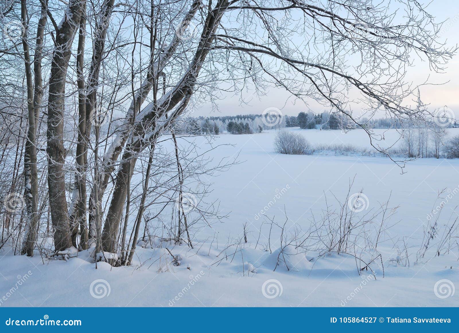 Winter morning in Finland stock image. Image of nature - 105864527
