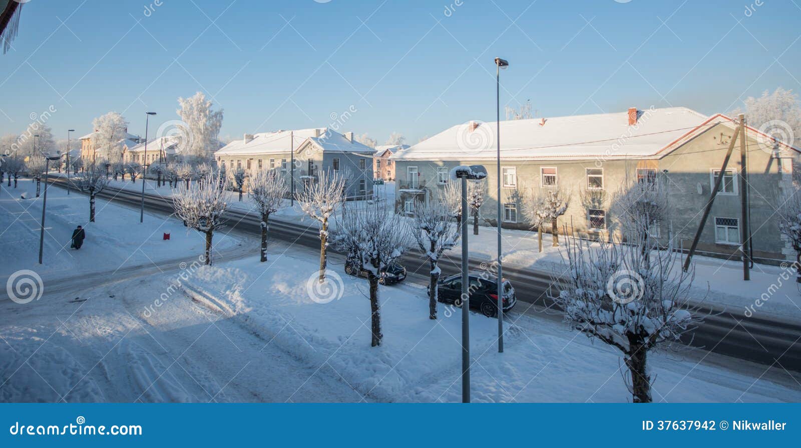 Winter Morning, Freezing Cold Stock Photo - Image of landscape, lights ...
