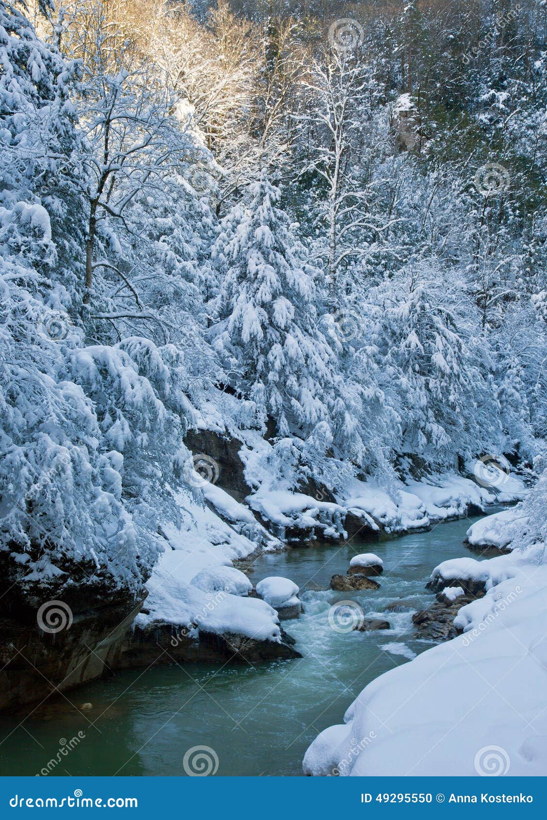 Winter Morning in Guam Gorge Stock Photo - Image of scene, white: 49295550