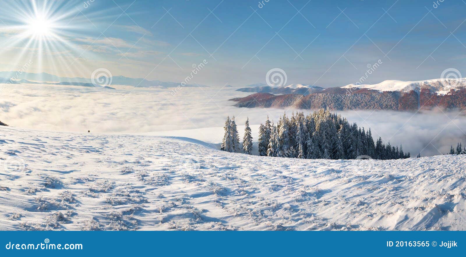 Winter morning landscape stock image. Image of frost - 20163565