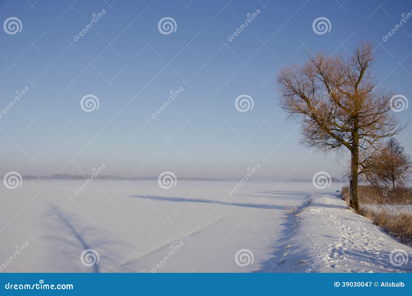 Winter Morning Landscape with Mist and Tree Shadow Stock Image - Image ...