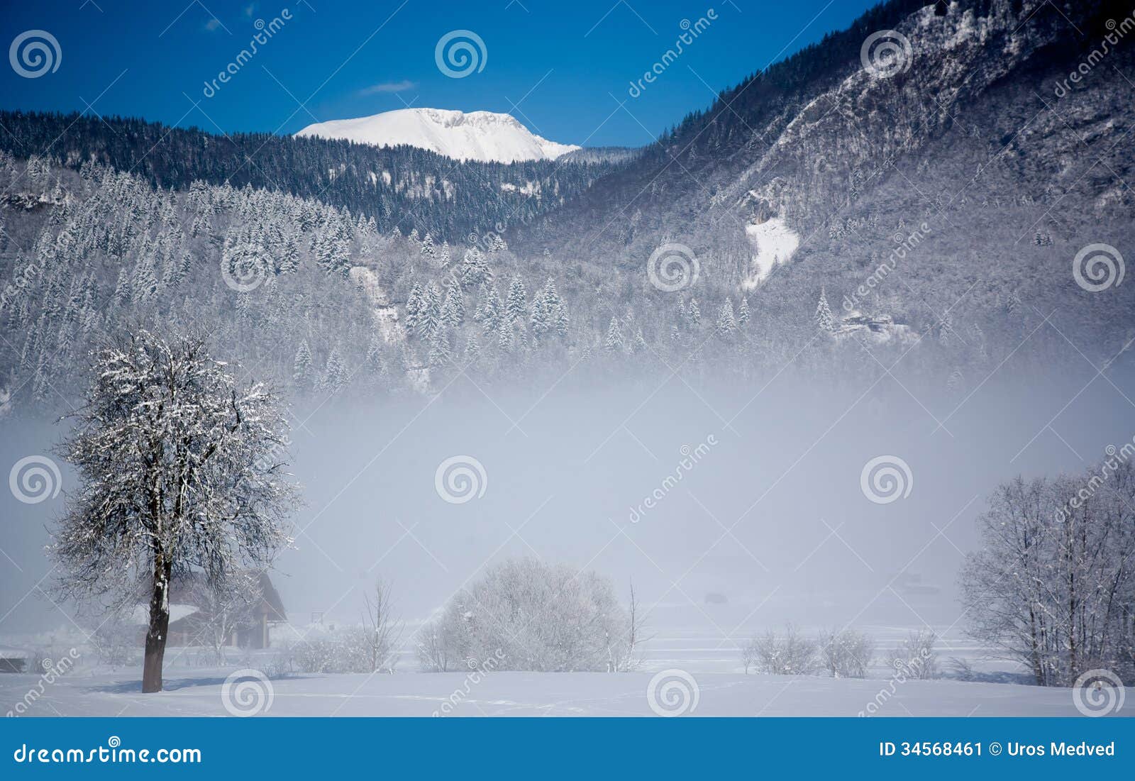 Winter morning stock image. Image of snowy, scene, alps - 34568461