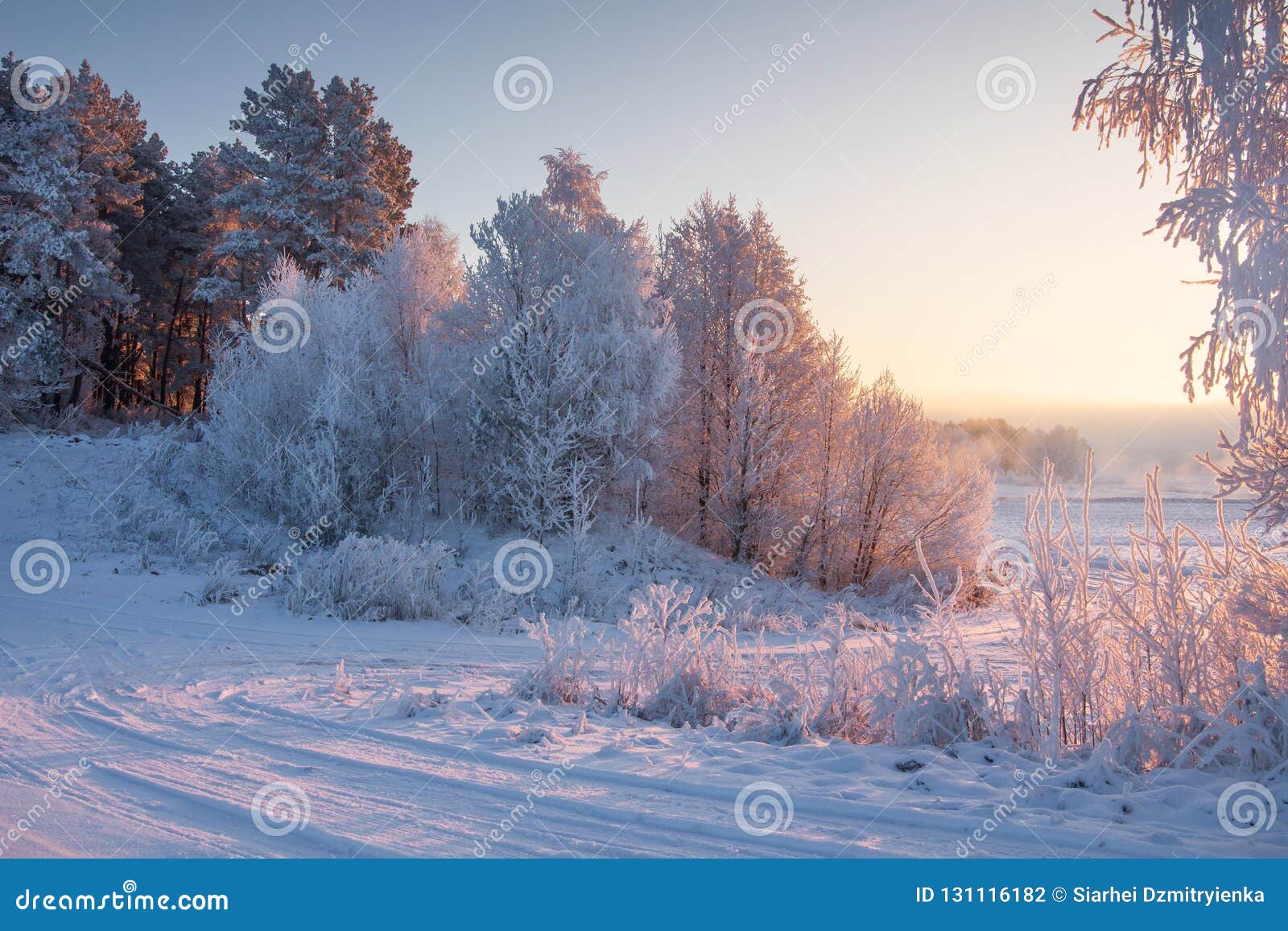 Winter Morning Nature Landscape in Sunlight on January Stock Photo ...
