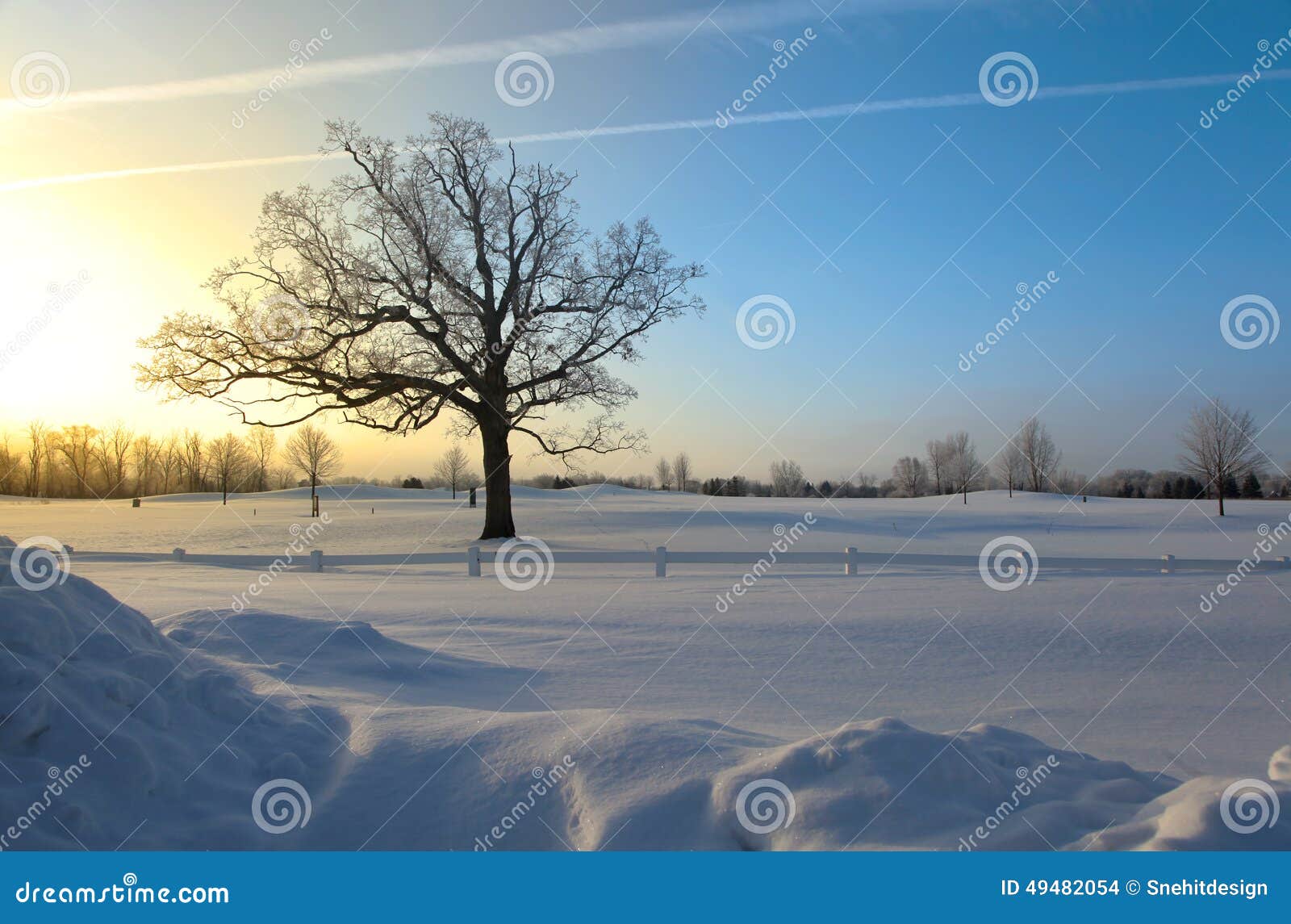 Winter morning stock photo. Image of stand, cold, park - 49482054