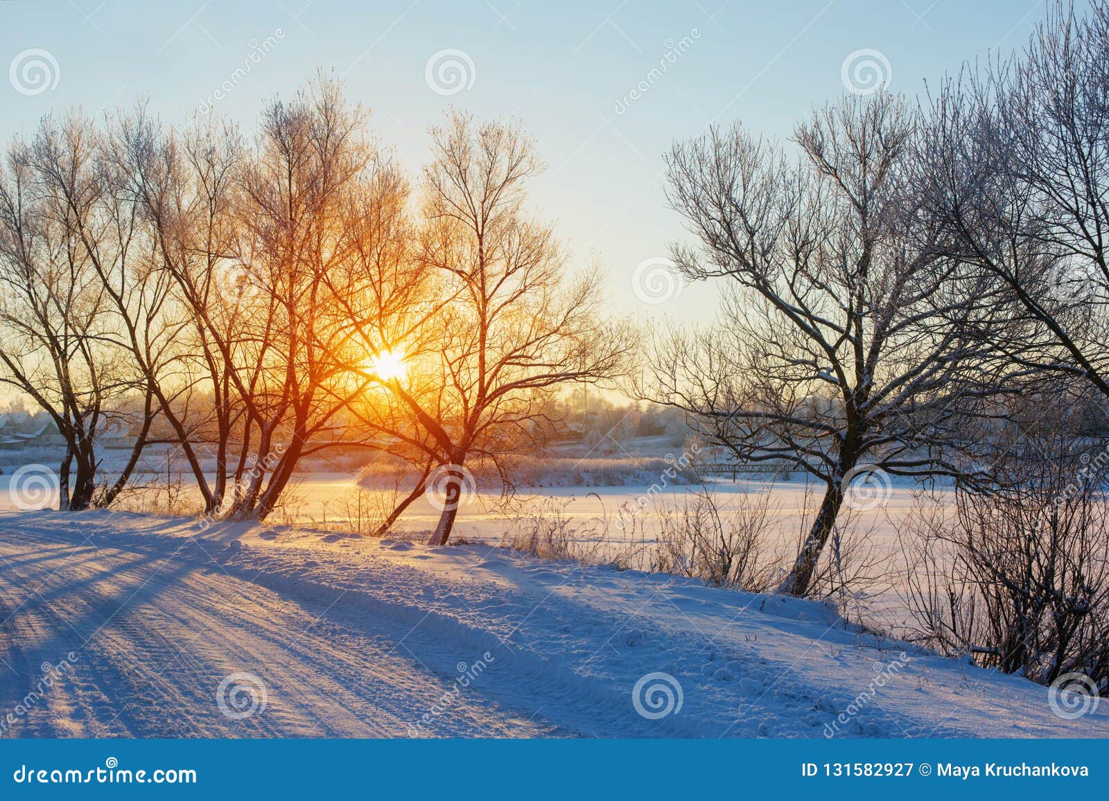 Winter Morning with Snow and Frost Stock Image - Image of december ...