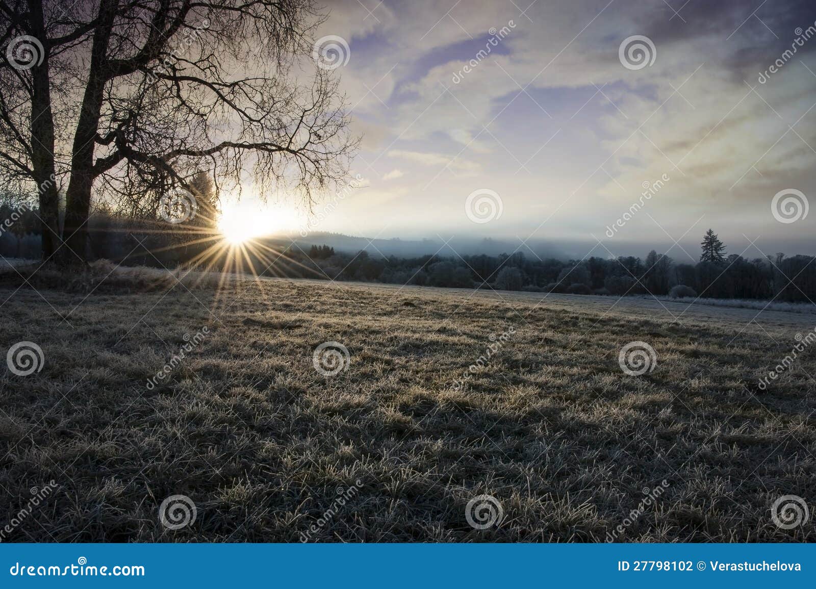 A Winter Morning with Sun Rays Stock Photo - Image of covered, forest ...