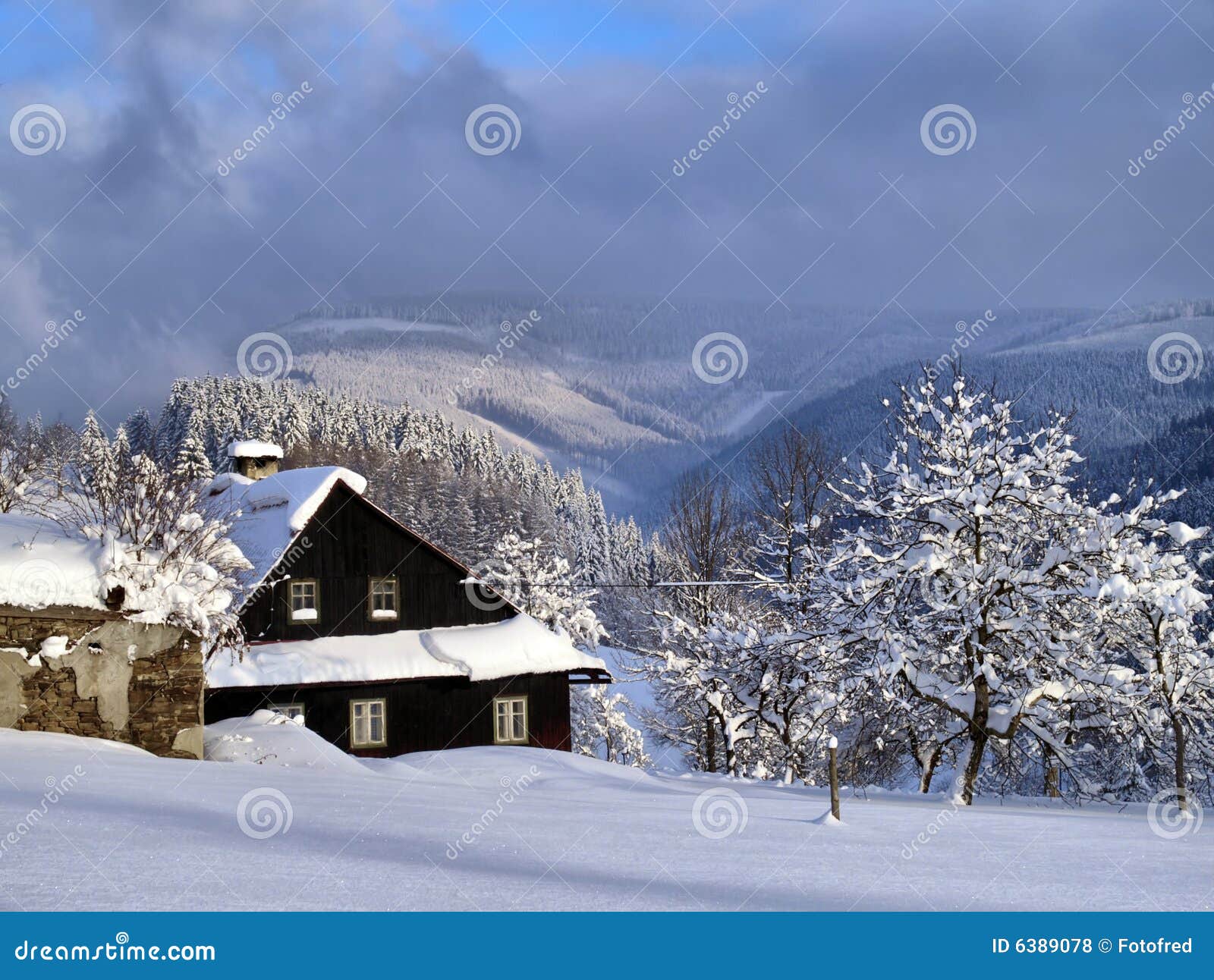 A Winter Morning in Village Stock Photo - Image of frost, white: 6389078