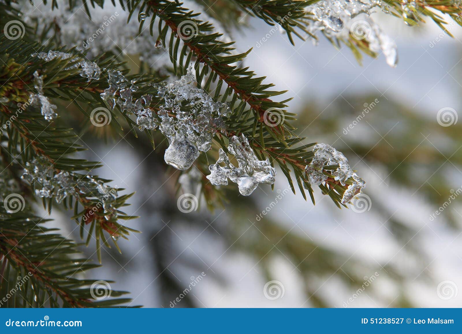 Winter motive stock image. Image of color, foreground - 51238527