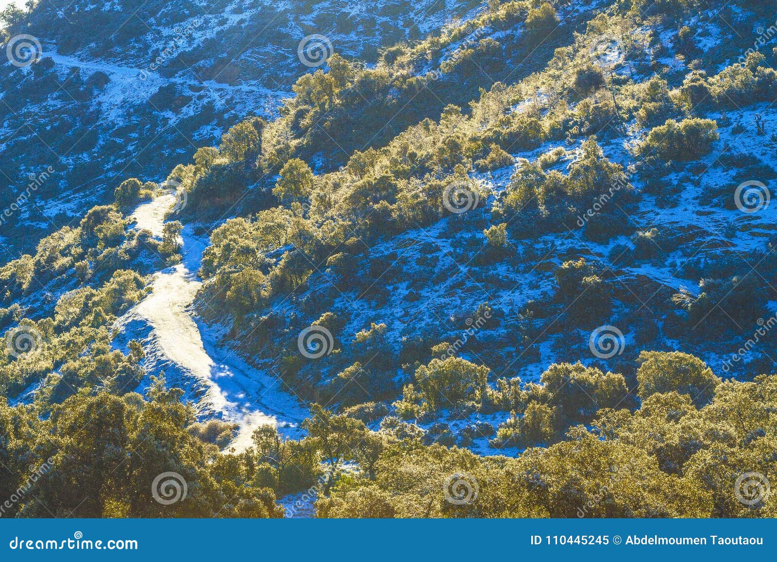 Chrea stock image. Image of chrea, african, happy, clouds - 110445245