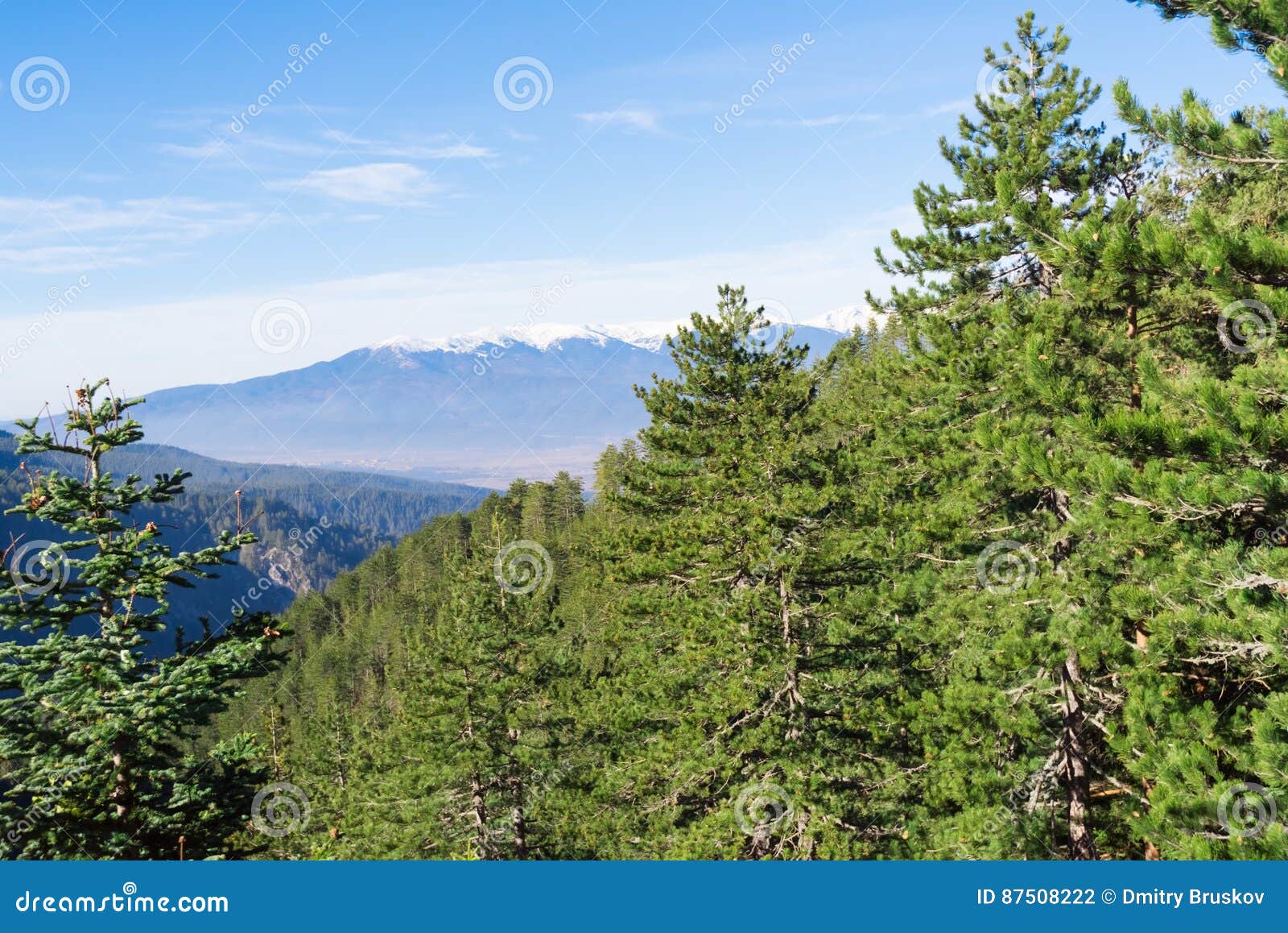 Winter mountain forest stock photo. Image of mist, nature - 87508222