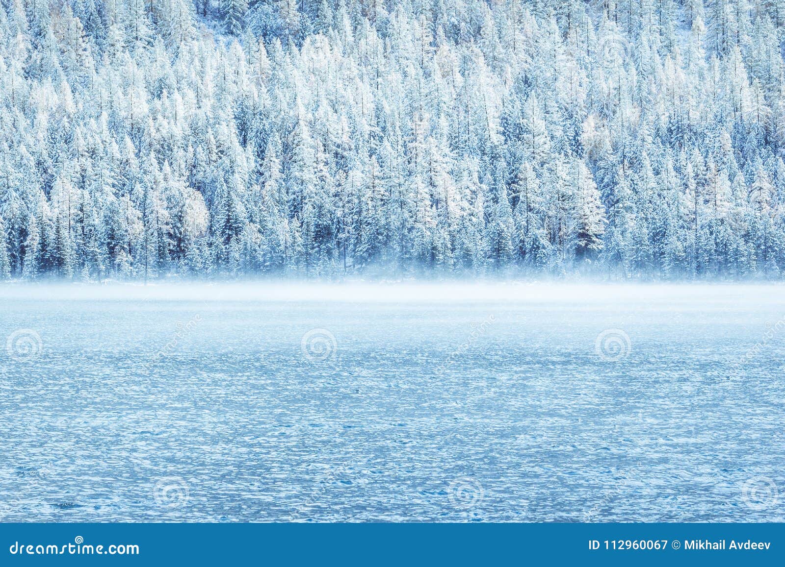 Winter Mountain Lake with Snow-covered Pine Trees on the Shore. Stock ...