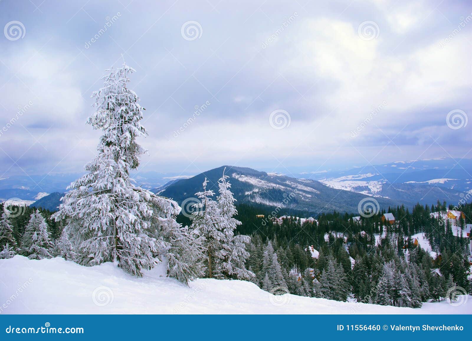 936 Landscape Dragobrat Photos - Free & Royalty-Free Stock Photos from ...