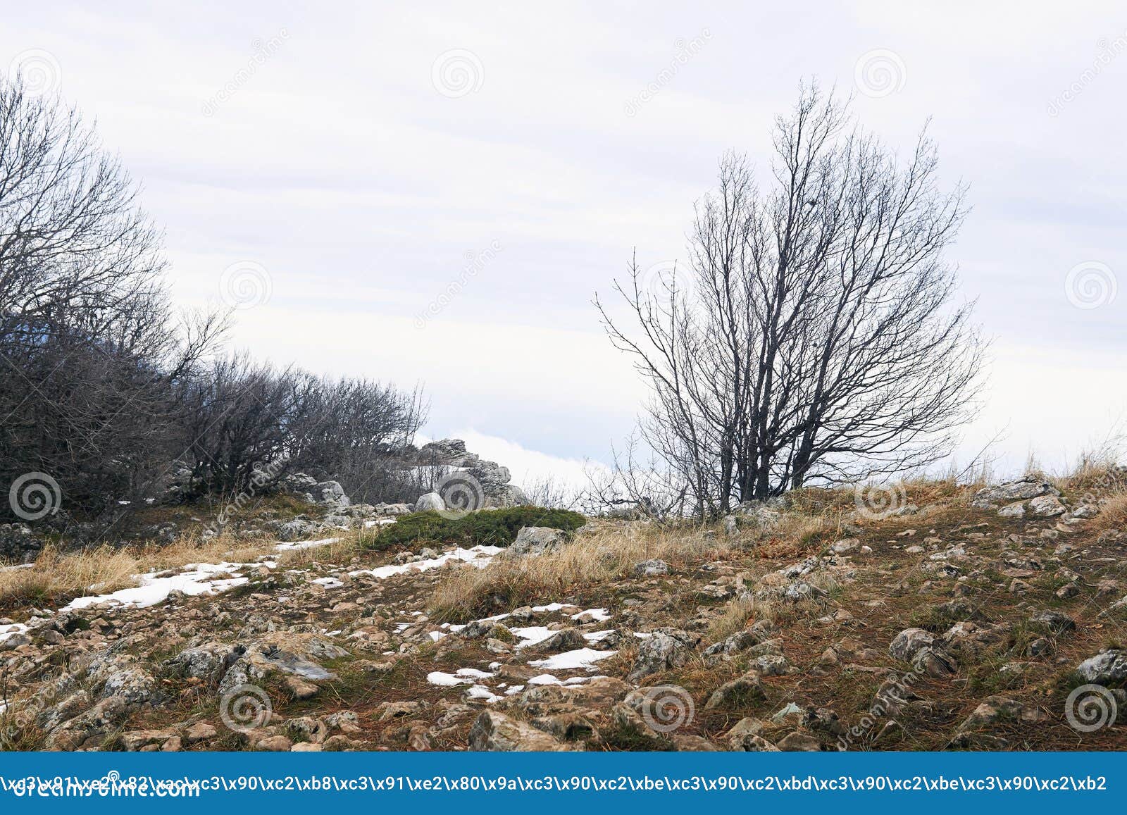 Winter Mountain Landscape on the Edge of the Abyss Stock Photo - Image ...