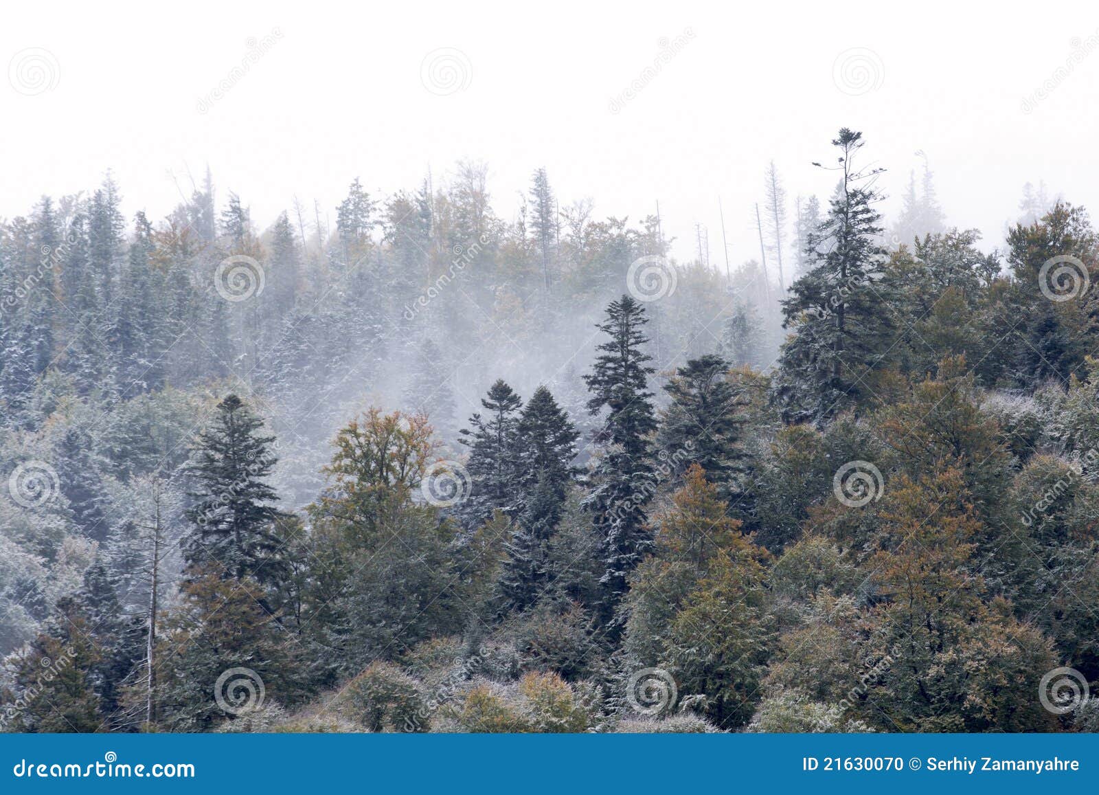 Winter Mountain Landscape in Ukraine Stock Photo - Image of climate ...