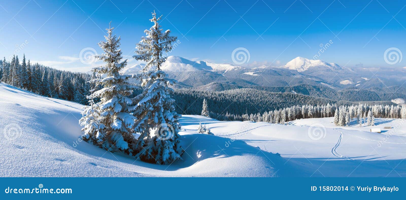 Winter mountain panorama stock photo. Image of hill, freeze - 15802014