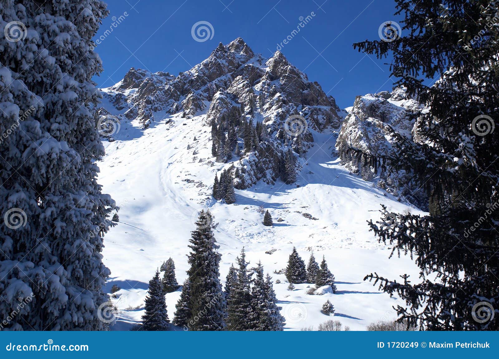 Winter mountain peak stock image. Image of forest, amazing - 1720249