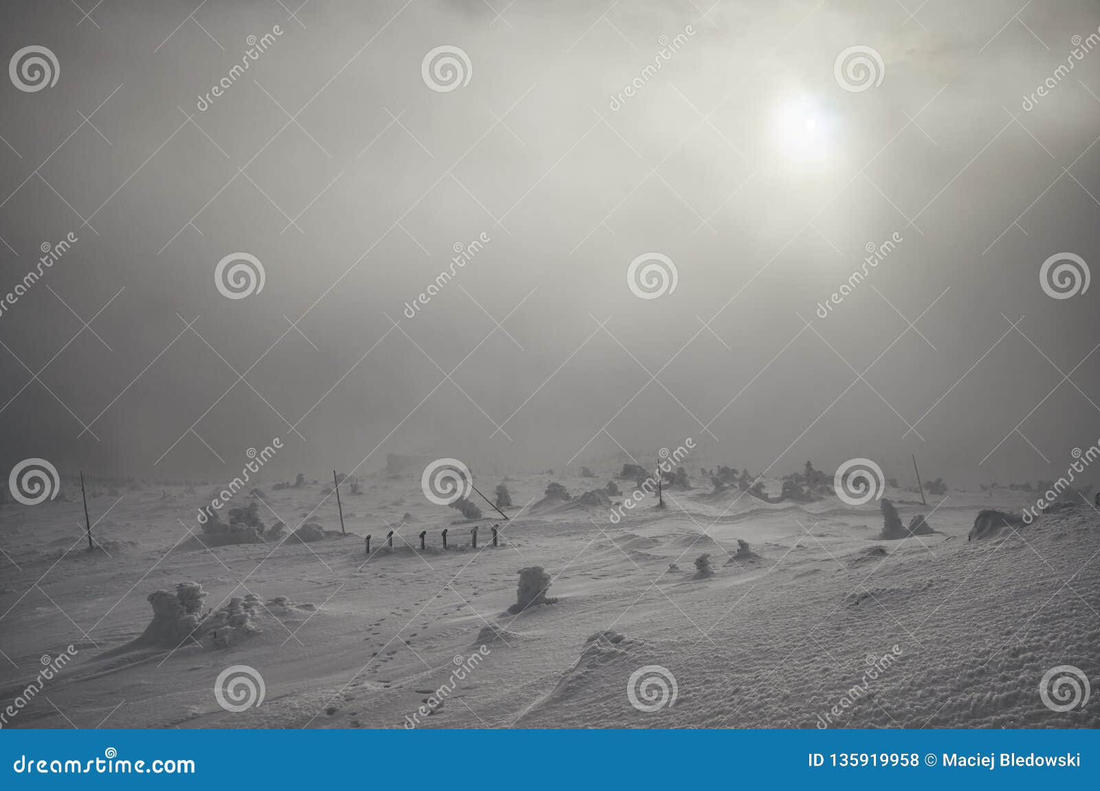 Winter Mountain Scenery during Blizzard Stock Photo - Image of ...