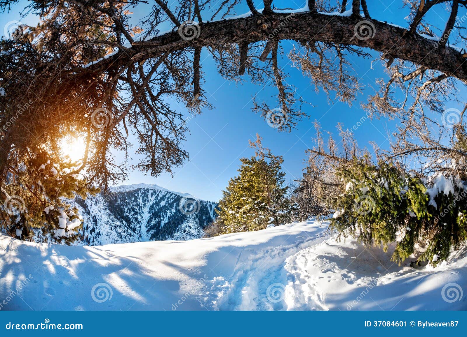 Winter mountain scenery stock image. Image of cold, fisheye - 37084601