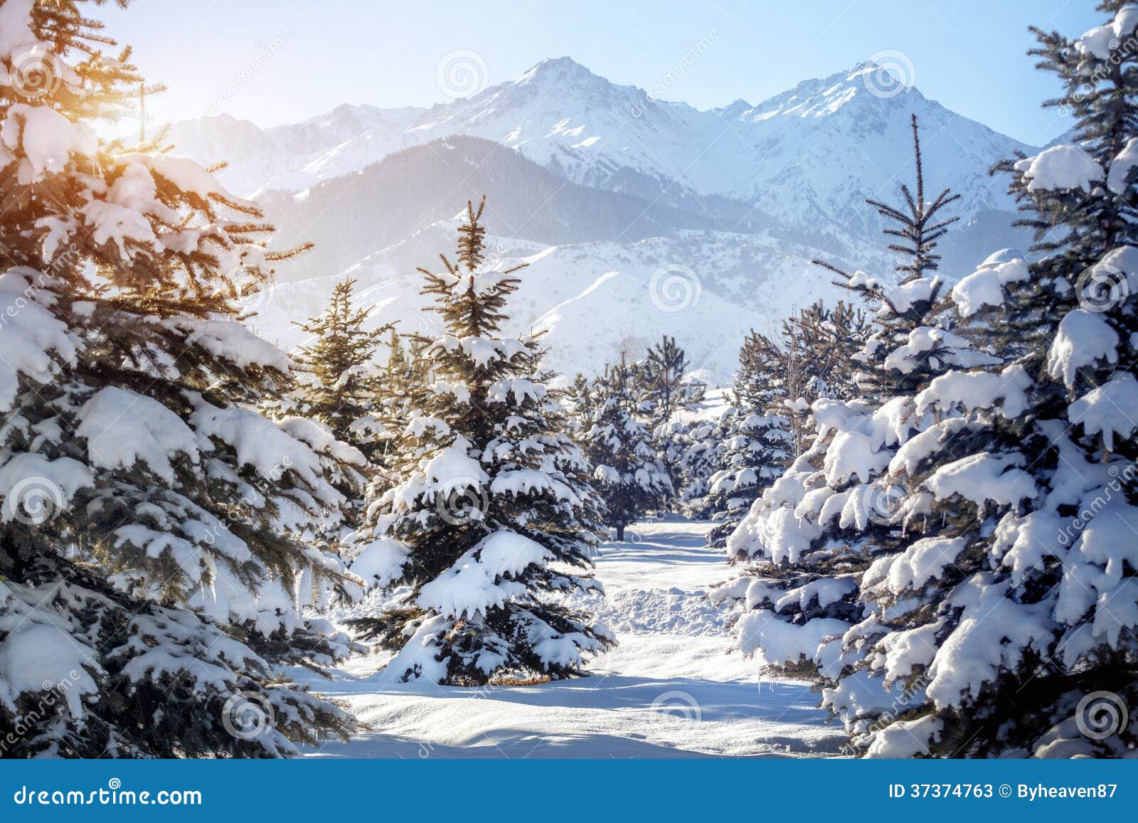 Winter mountain scenery stock image. Image of cold, forest - 37374763