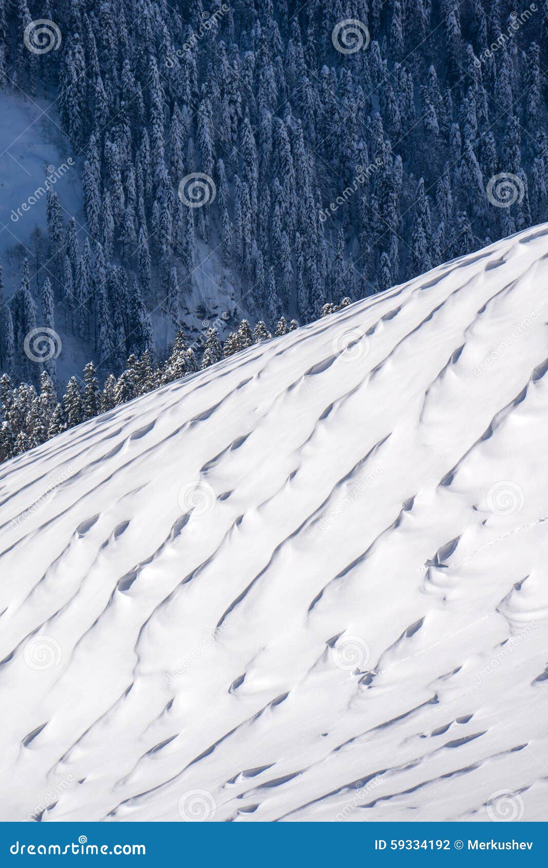 Winter Mountain Slope and Forest Stock Photo - Image of season, outdoor ...